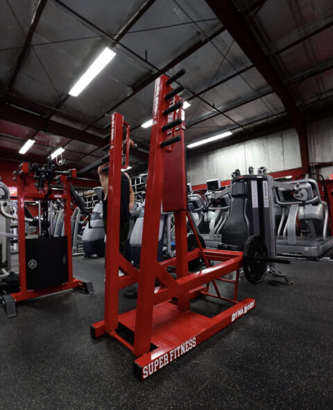 Absolute Recomp Pro-Style Gym: Train, Recover & Achieve More!